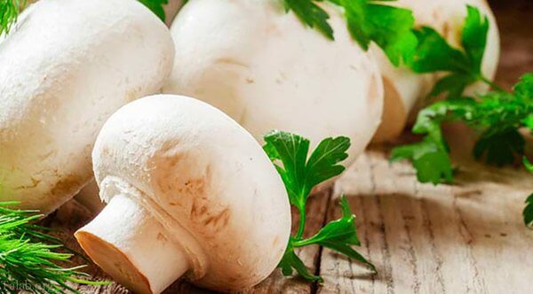Beneficios de comer setas - Educación culinaria online - Artículos y ...