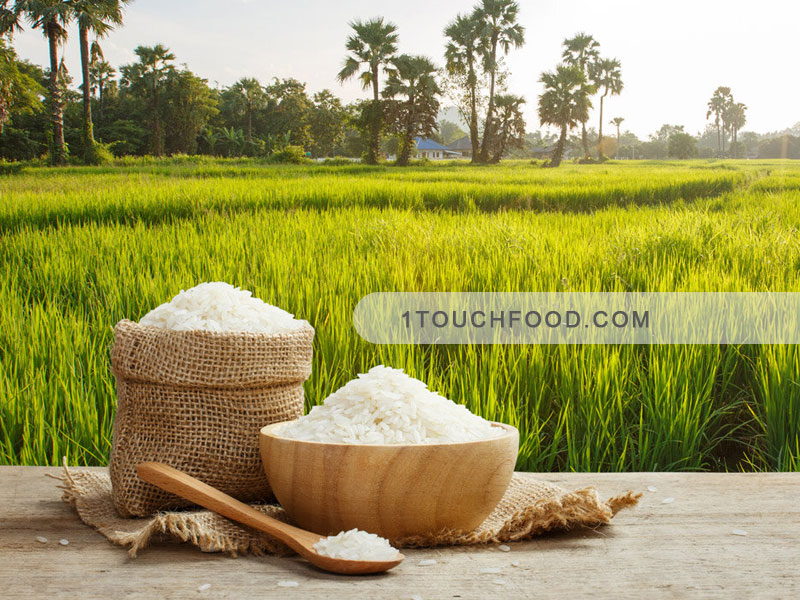 Properties of rice: 10 unique benefits - Online cooking training