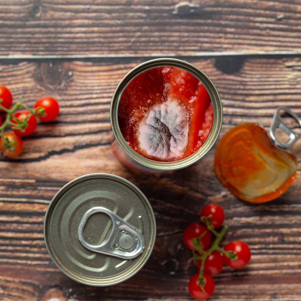 Mold in tomato paste | 5 important causes and 5 home remedies